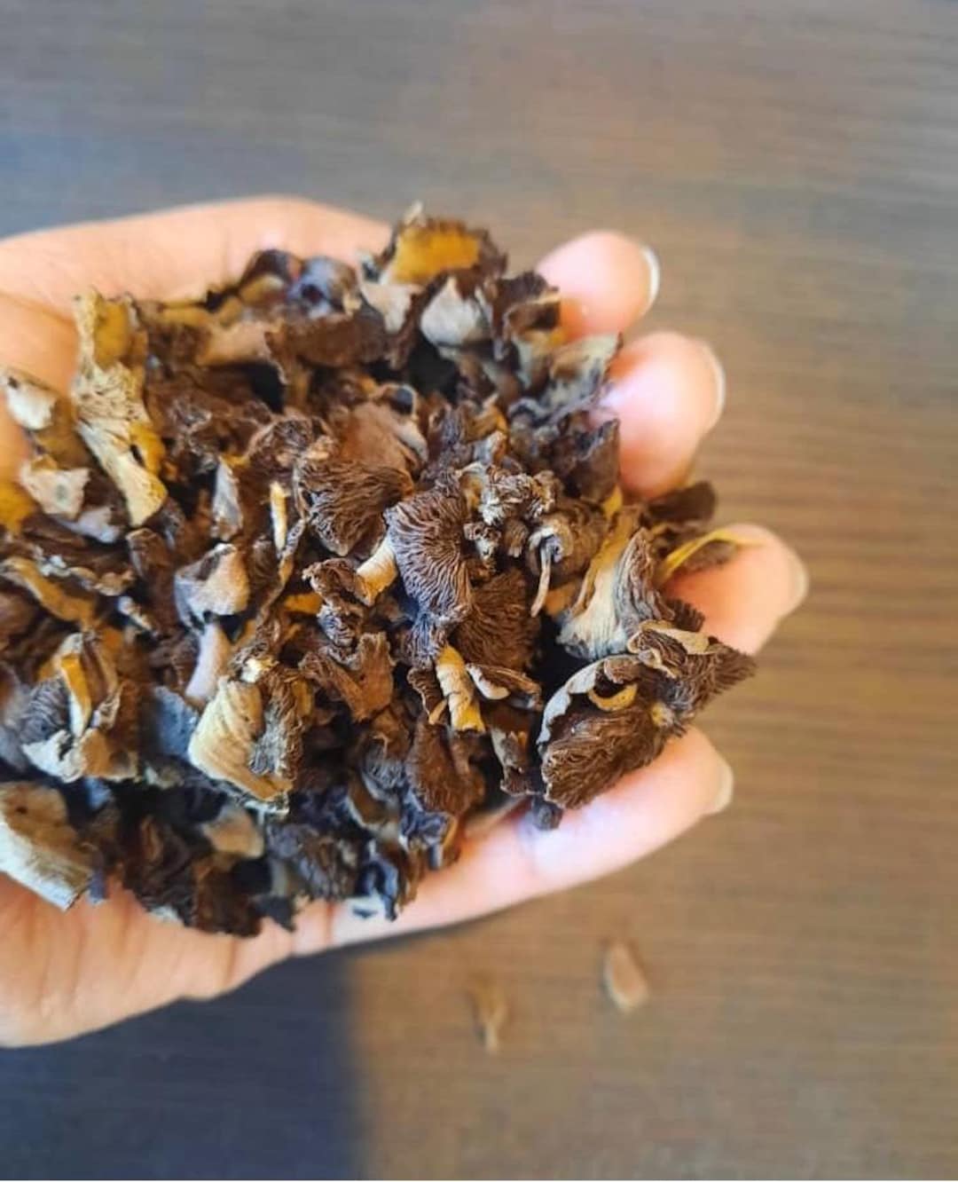 Djon Djon (PRE Cleaned) - Haitian Dried Mushroom - Etsy