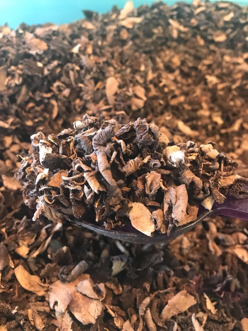Djon Djon (PRE Cleaned) - Haitian Dried Mushroom - Etsy