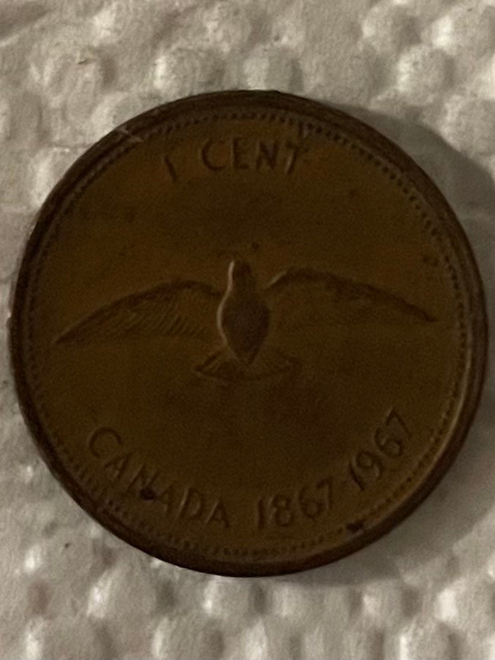 1967 One Cent Clipped Canadian Penny Rare Collection - Etsy Canada