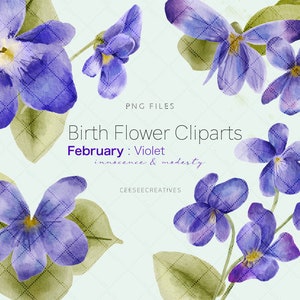 Clipart: February Birth Flower "violet", Watercolour Floral Clipart ...