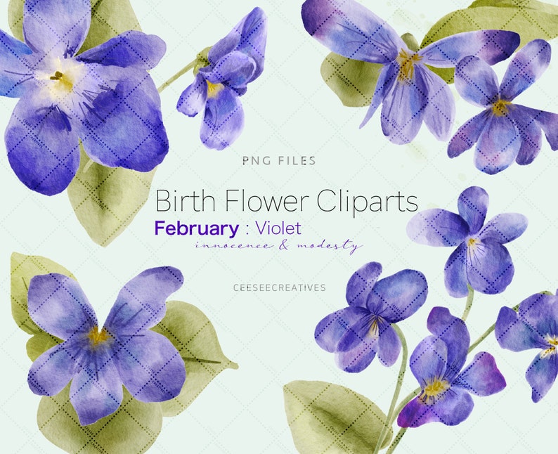 Clipart: February Birth Flower "violet", Watercolour Floral Clipart ...
