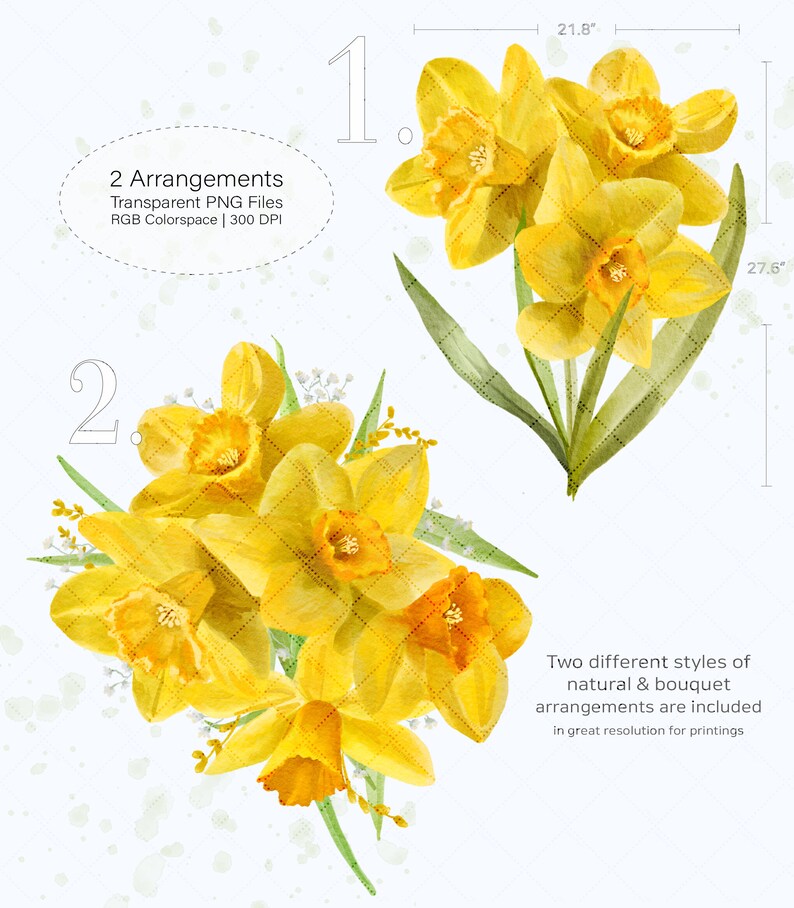 Clipart: March Birth Flower "daffodil", Watercolour Floral Clipart ...