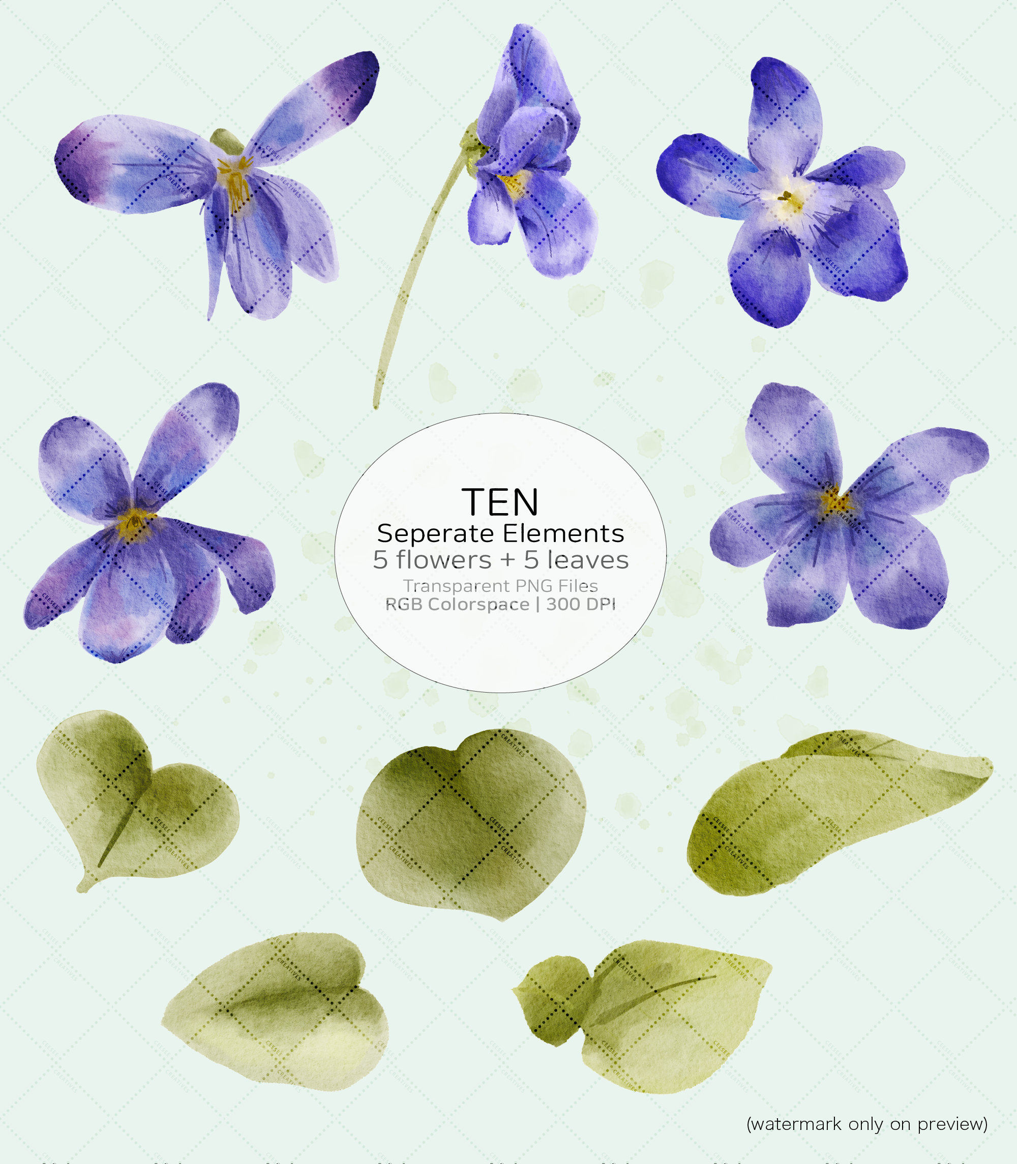 Clipart: February Birth Flower "violet", Watercolour Floral Clipart ...