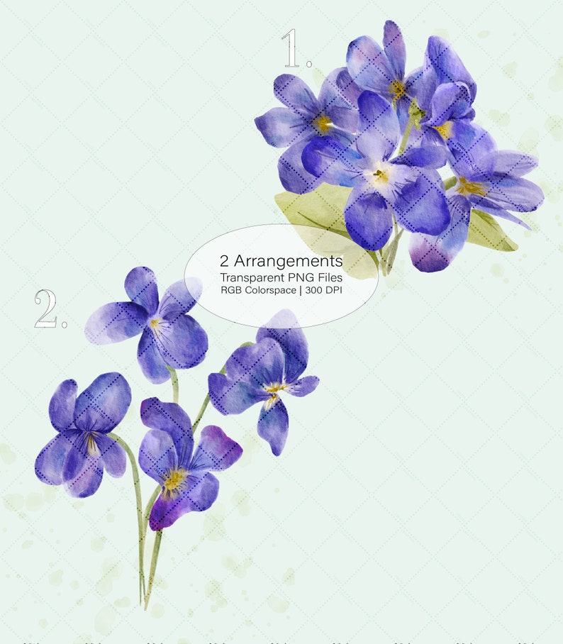 Clipart: February Birth Flower "violet", Watercolour Floral Clipart ...