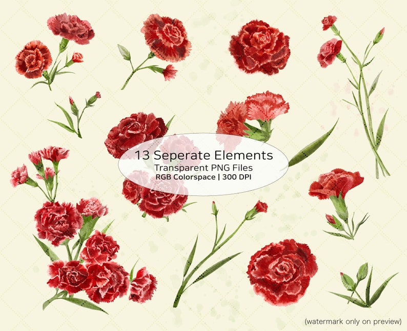 Clipart: January Birth Flower "red Carnation", Watercolour Floral ...