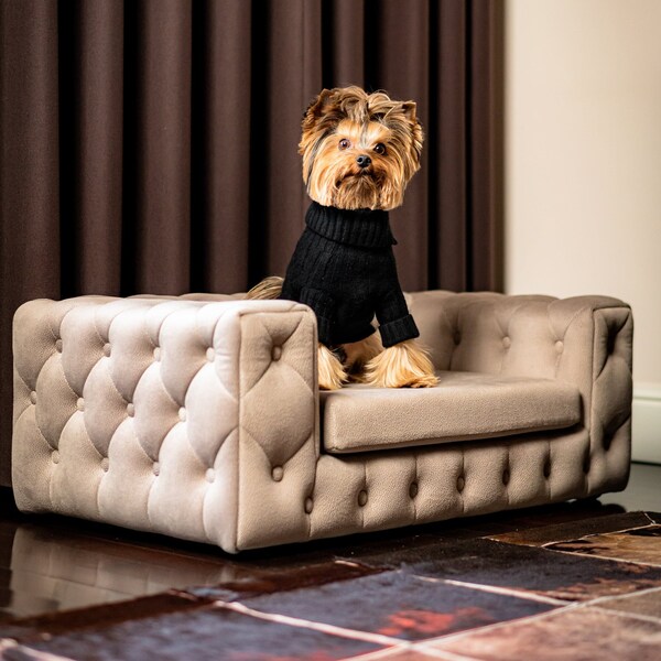 Dog Furniture - Etsy