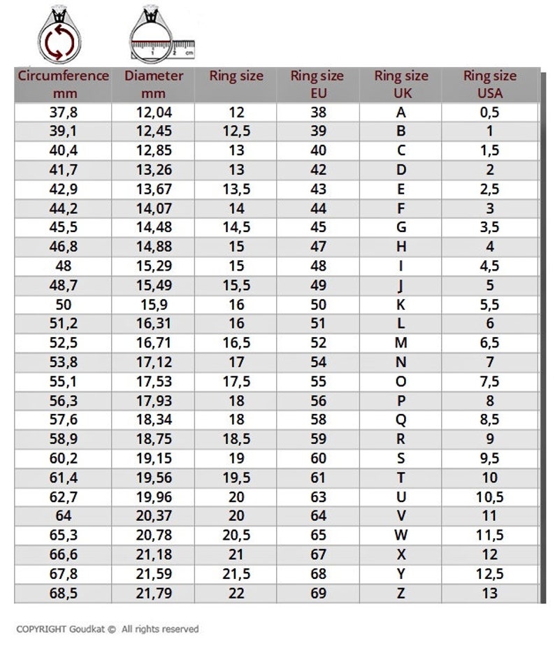 Pride Ring LGBTQ Ring Rainbow Ring Pressed Flowers Resin | Etsy