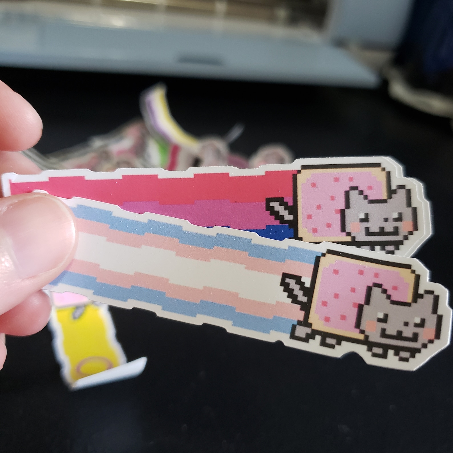 Nyan Cat Pride Flags - Etsy Australia