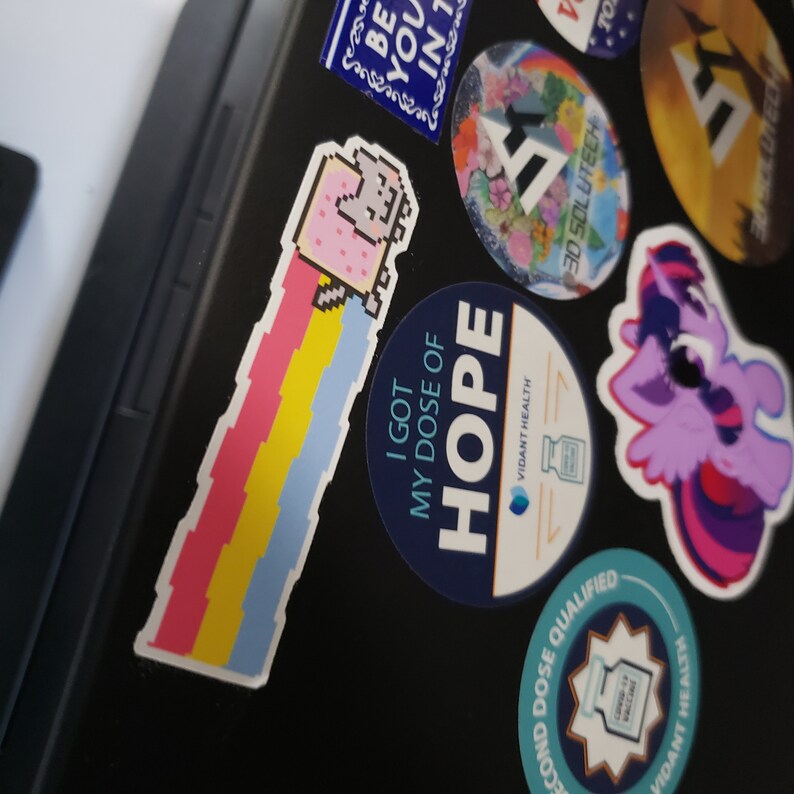 Nyan Cat Pride Flags - Etsy Canada