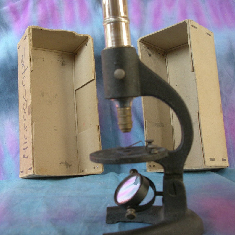 Vintage Student Microscope, Early 1940s, Excellent Condition, Ships ...