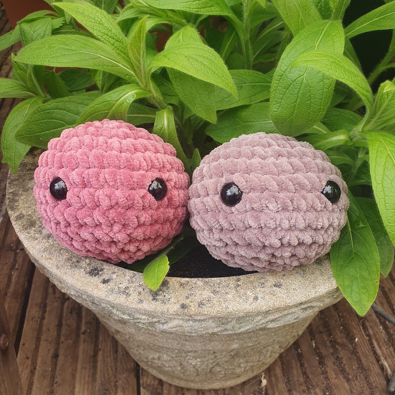 Mochis Fidget Toy - Etsy