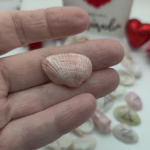 Italian Janarric Sacred Sea Witch Runes by KJ, Hand Painted Sealed ...