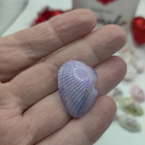 Italian Janarric Sacred Sea Witch Runes by KJ, Hand Painted Sealed ...