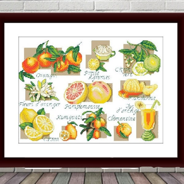 Citrus Cross Stitch - Etsy