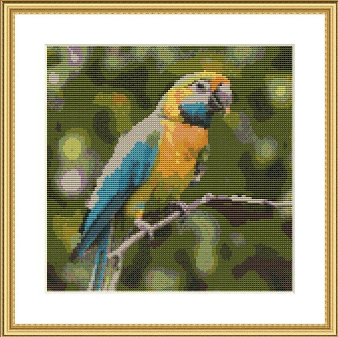 Parrot Bird PDF Counted Cross Stitch Pattern Vintage Cross Stitch Chart ...