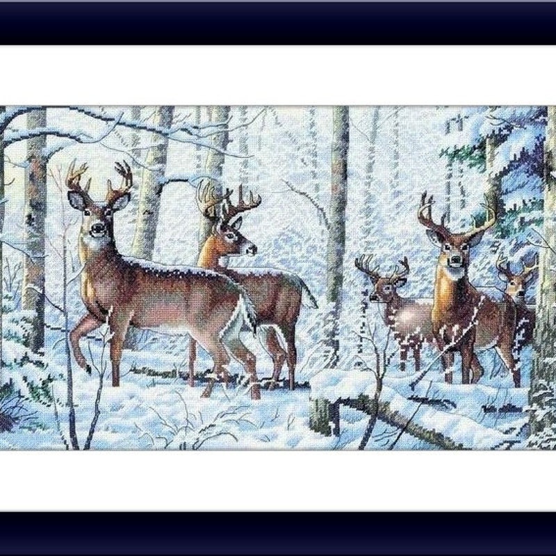 Deer Charts for Hunting - Etsy