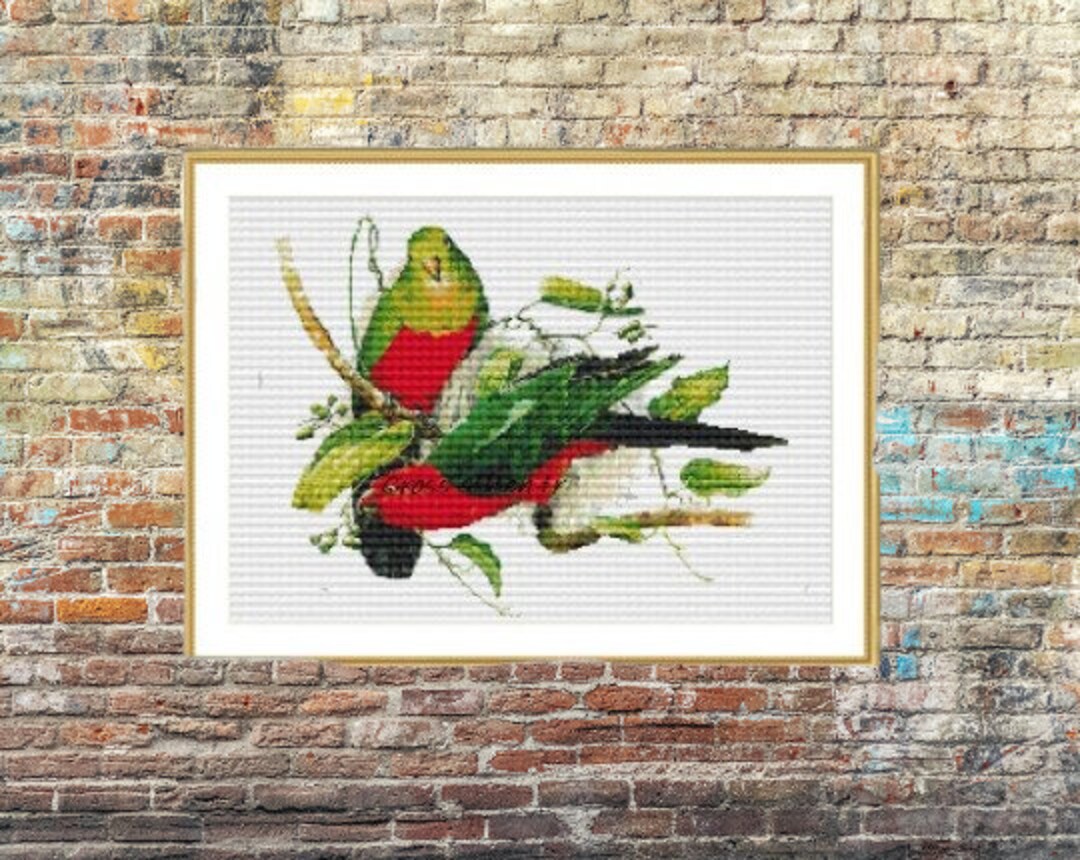 Cute Parrot Birds PDF Counted Cross Stitch Pattern Modern Cross Stitch ...