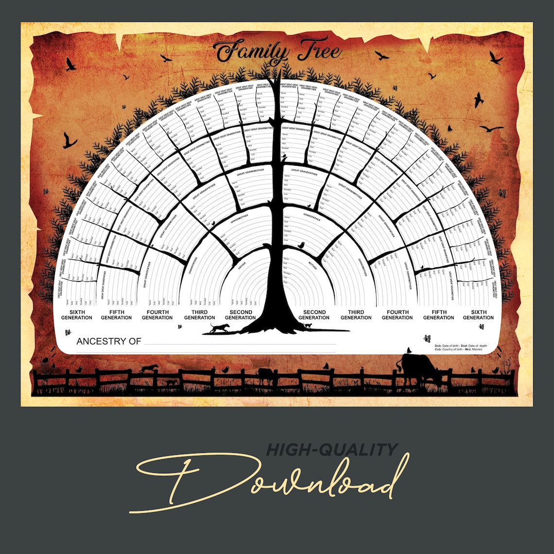 Family Tree Chart (colourful Chart), Family Generation Chart, 6 ...