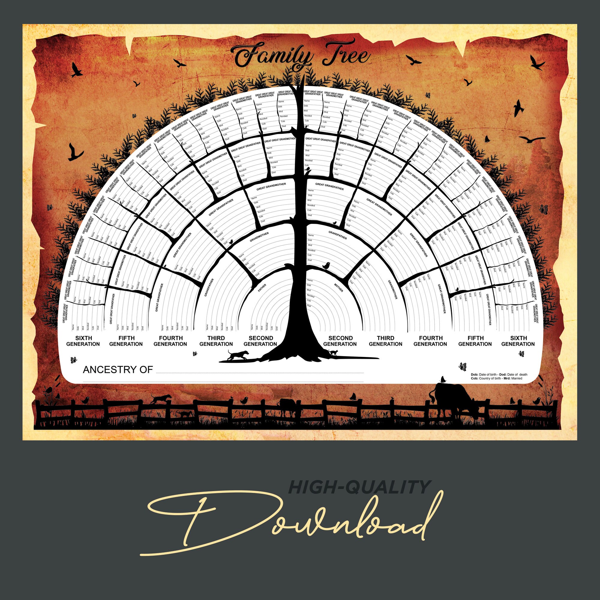 Family Tree Chart (colourful Chart), Family Generation Chart, 6 ...