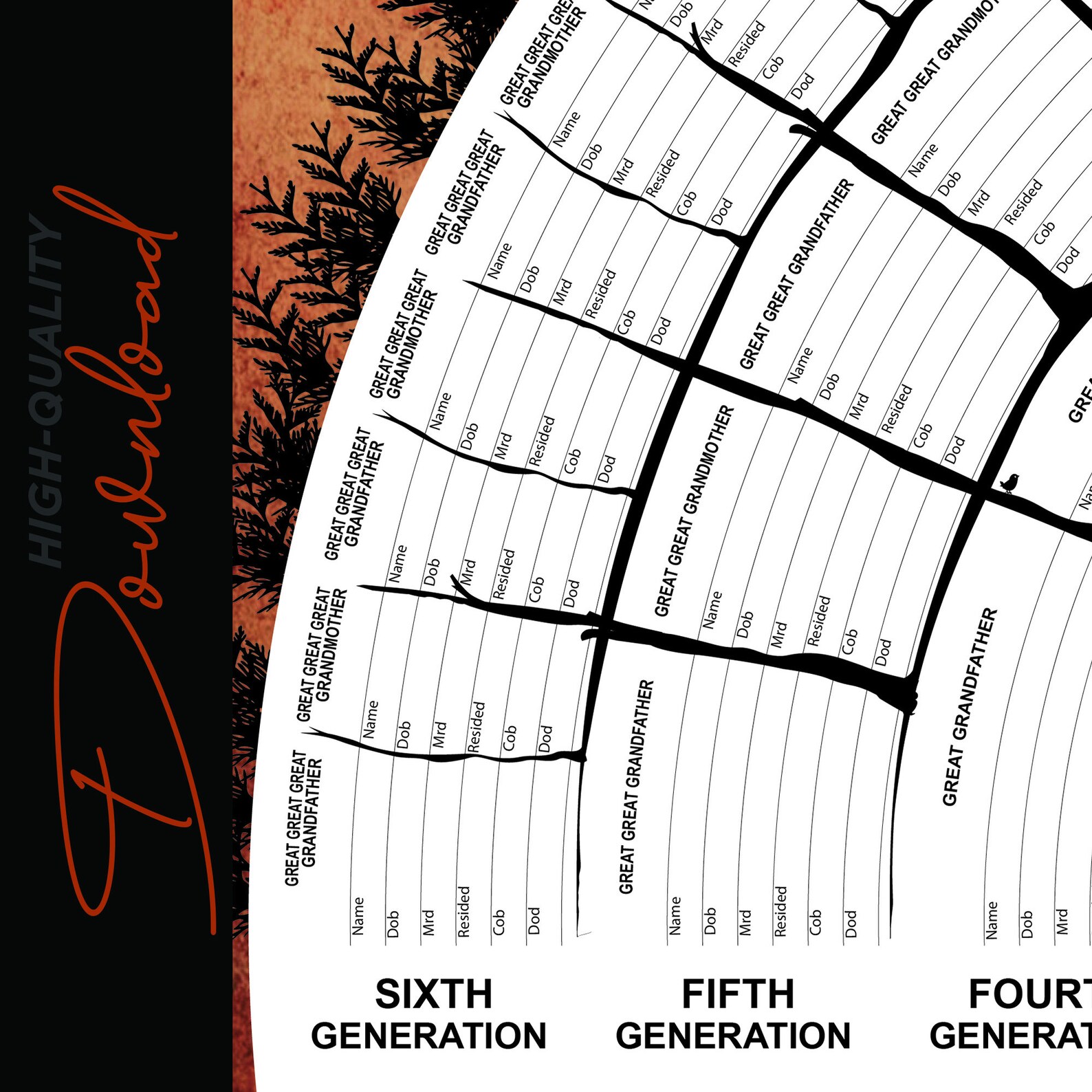 Family Tree Chart (colourful Chart), Family Generation Chart, 6 ...