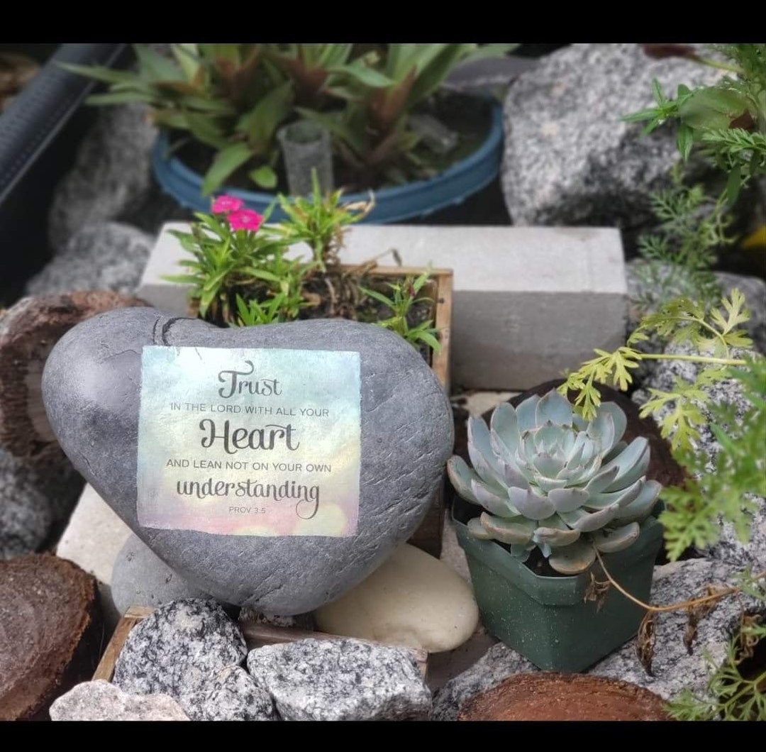 Fossil Frames - Etsy