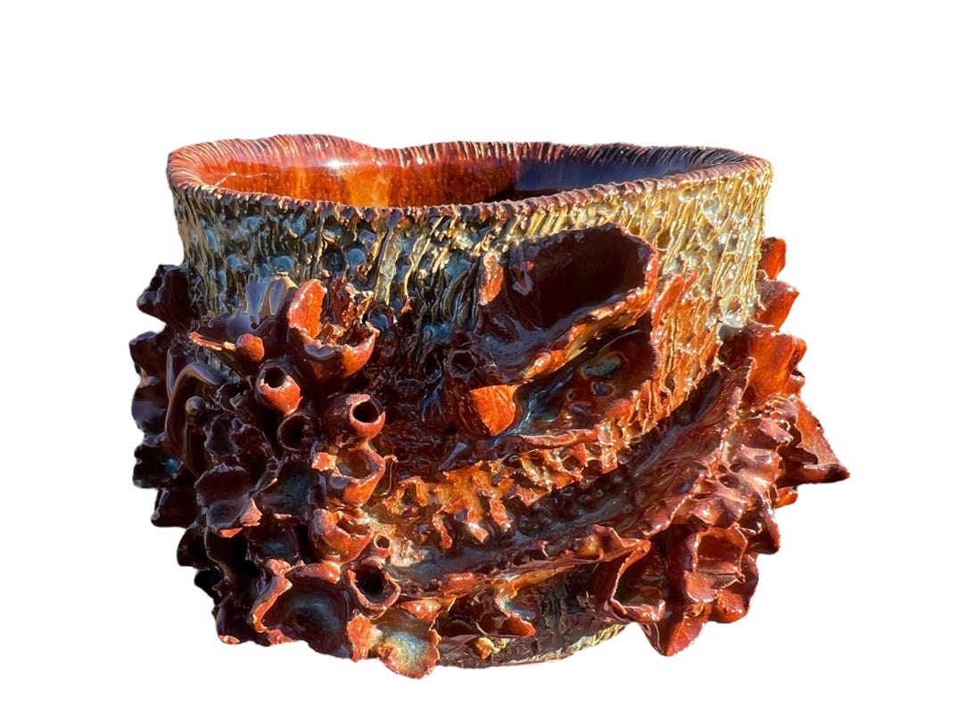 Textured Ceramic Coral Indoor Planter Ocean Inspired Handmade Pottery ...