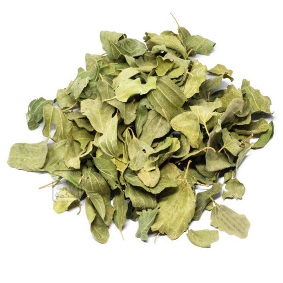 Lote Tree Sidr Leaves Organic Sidr Leaves Naturel Dried Sidr | Etsy