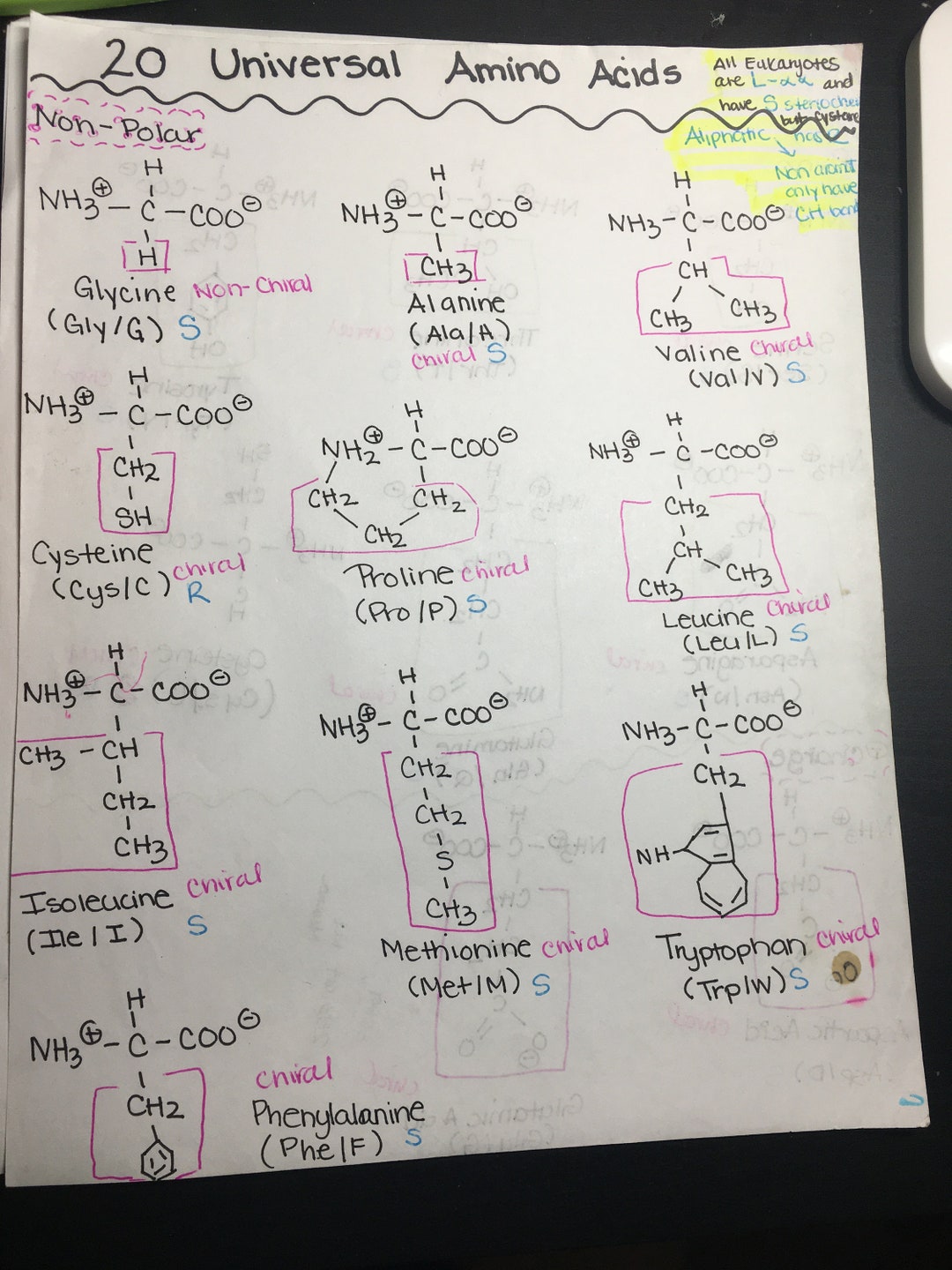 Amino Acids MCAT Biochemistry Review Guide Etsy