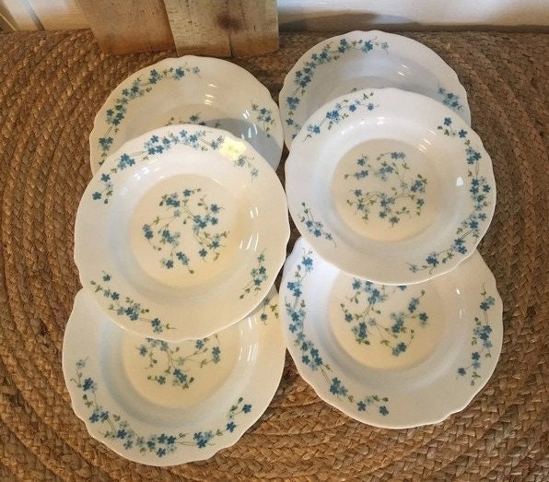 ARCOPAL 6 Deep Plates Myosotis Veronica Collection - Vintage Design ...