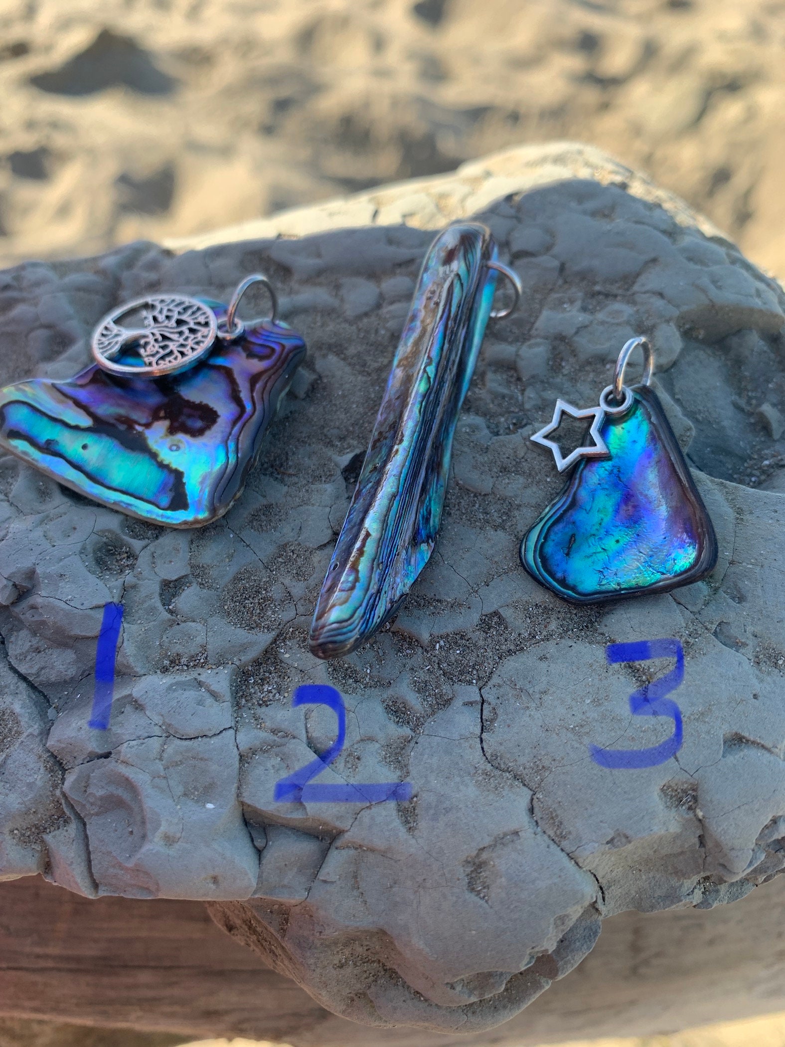 A Shiny Selection_45_paua Shell Pendants_gift of the Sea - Etsy