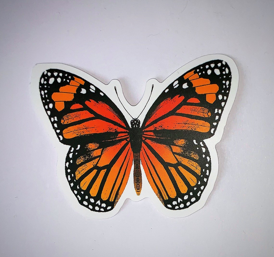 Orange Butterfly Sticker Pack Individual o Sticker Pack - Etsy España