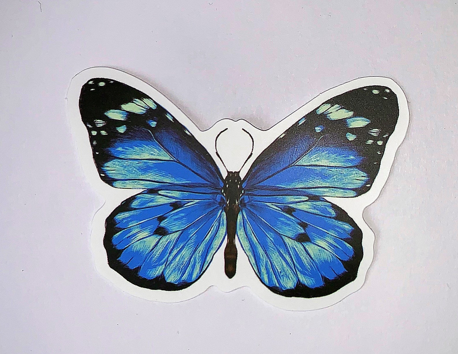Blue Butterfly Sticker Pack Individual or Sticker Pack Laptop Tablet ...