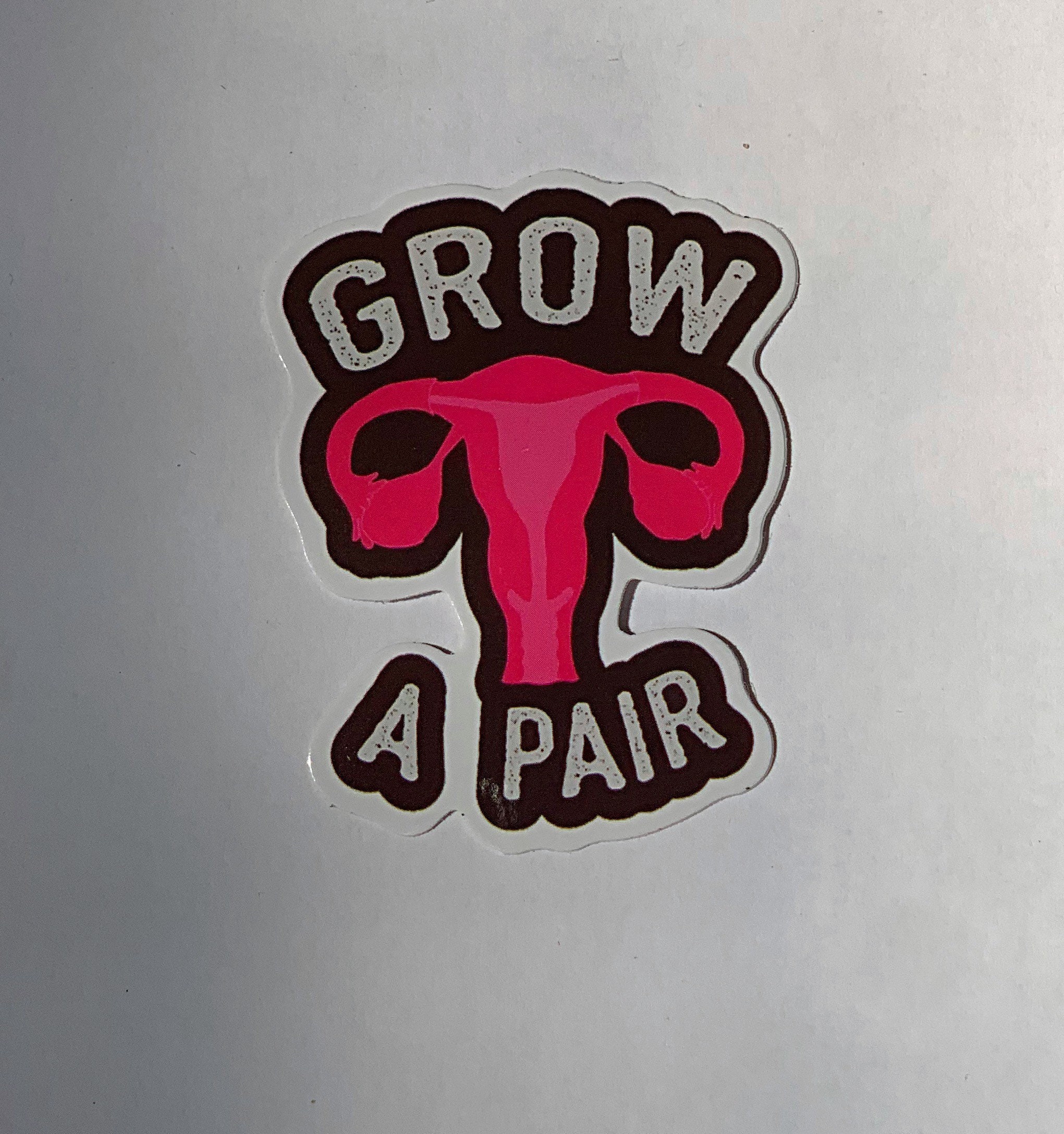 Grow A Pair Sticker Individual Sticker Feminist Sticker Laptop Tablet ...