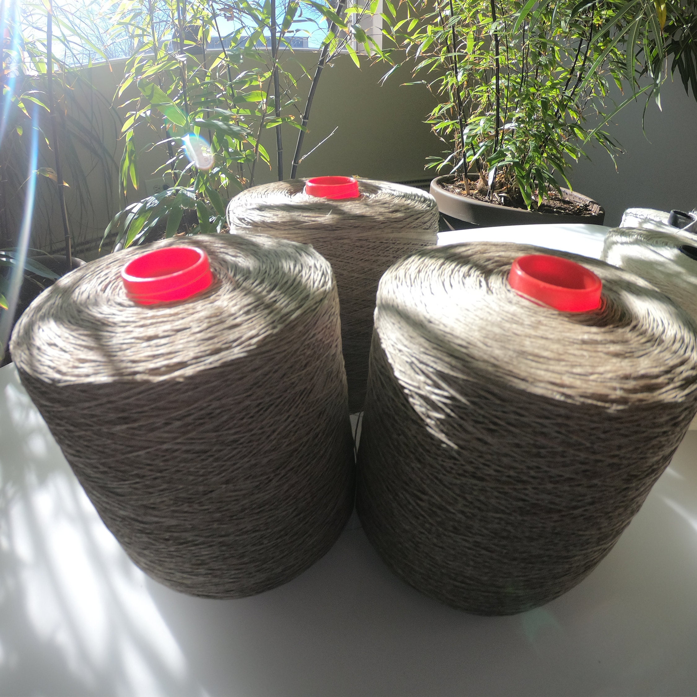 Plant Based Yarn All Natural Thread 2lb about 1 Kg Ply 10/2 Natural - Etsy