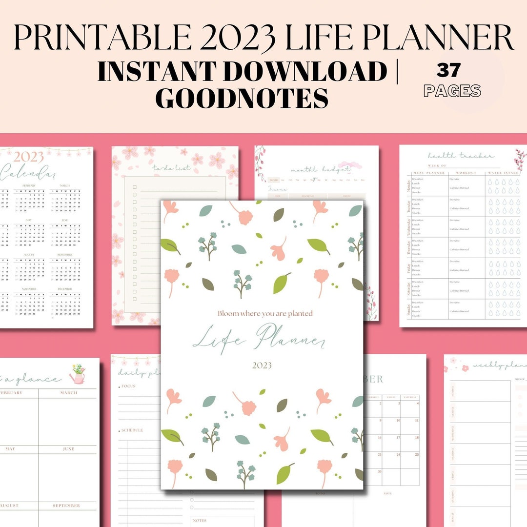 Life Planner 2023 Printable, Productivity Planner, Bujo Printables ...