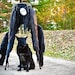 Spiritwalker Costume, Build Guide, Tiktok, Spiritwalker Stilt Walker ...