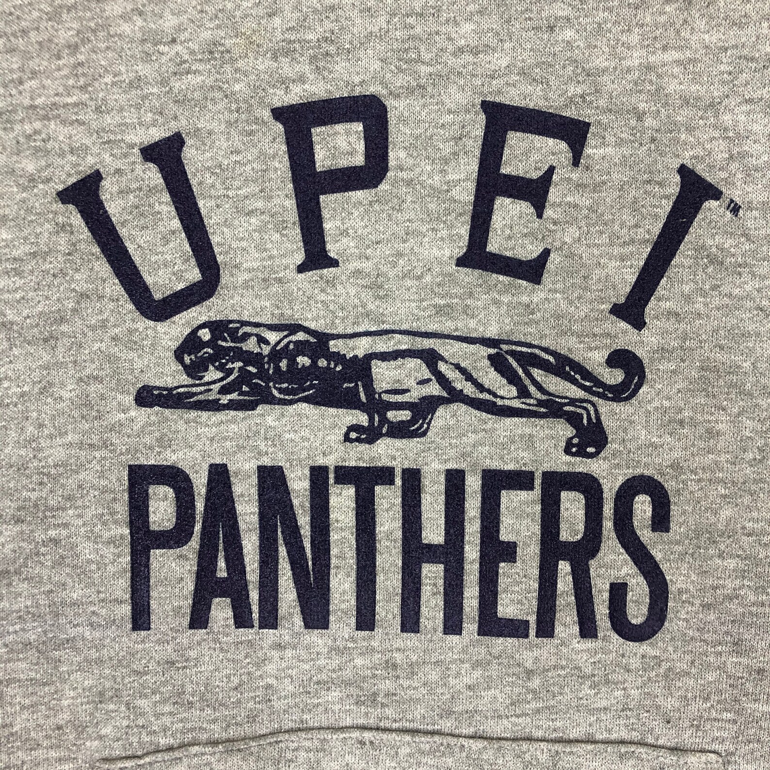 Vintage UPEI Panthers Grauer Hoodie - Grösse L College Pullover - Etsy.de