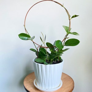Copper Hoop Trellis, Full Moon Copper Houseplant Trellis, Plant Support ...