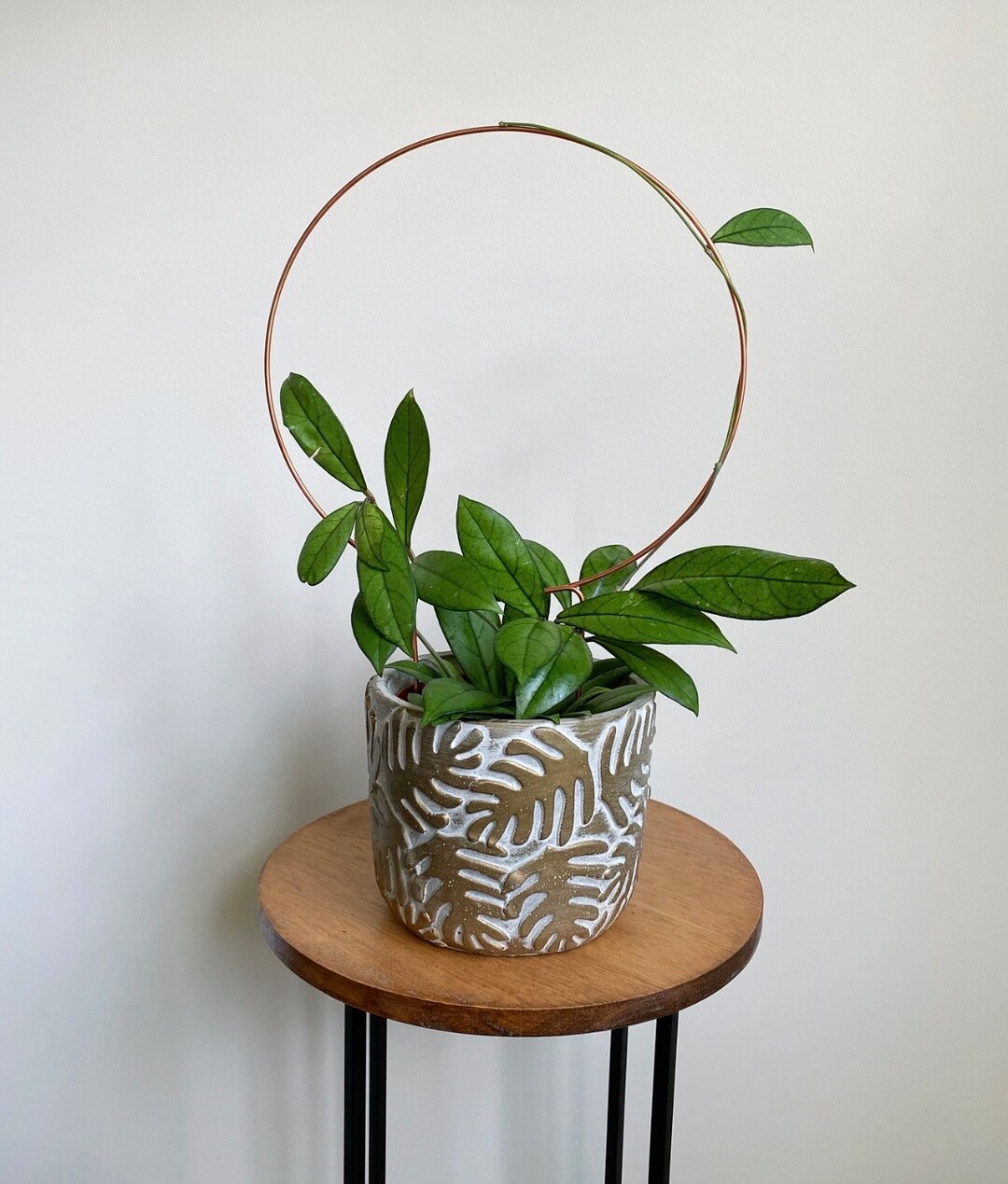 Copper Hoop Trellis, Full Moon Copper Houseplant Trellis, Plant Support ...