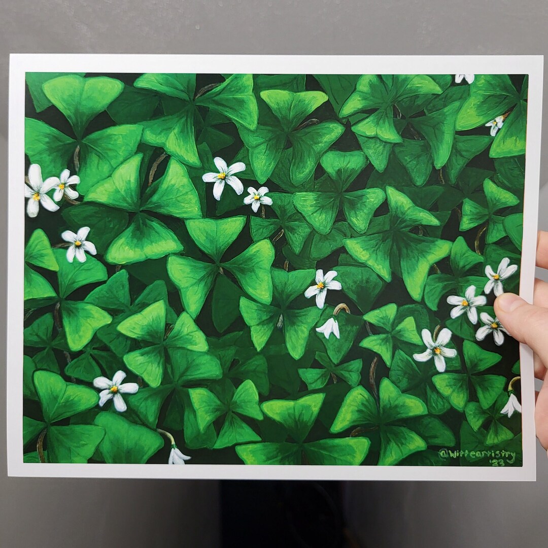 Oxalis Triangularis or False Shamrock Acrylic Painting- Print - Etsy