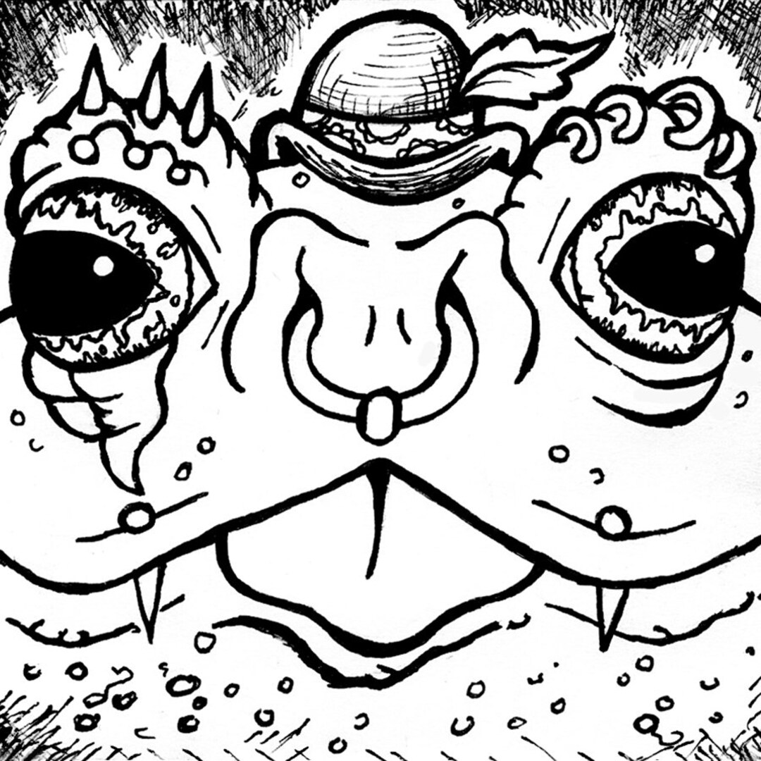 Toad Punk Pet - Etsy