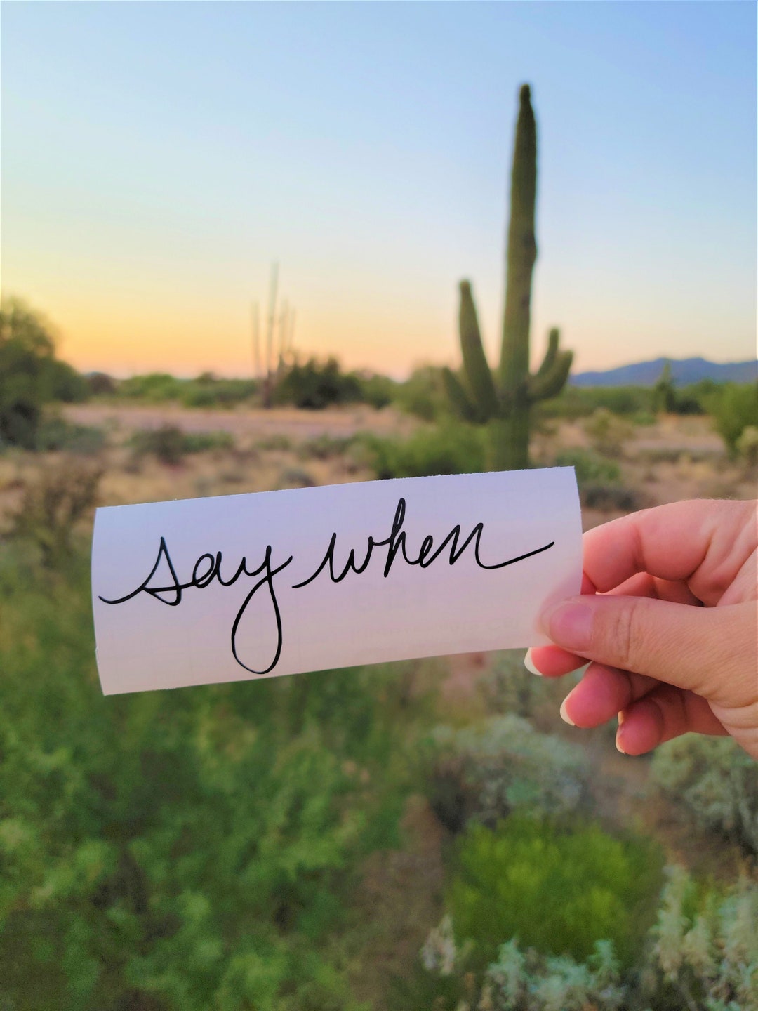 Say When Decal - Etsy