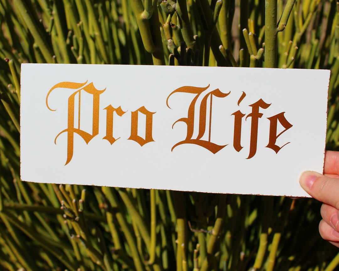 Pro Life Medieval Decal Bumper Sticker, Respect Life, Catholic ...