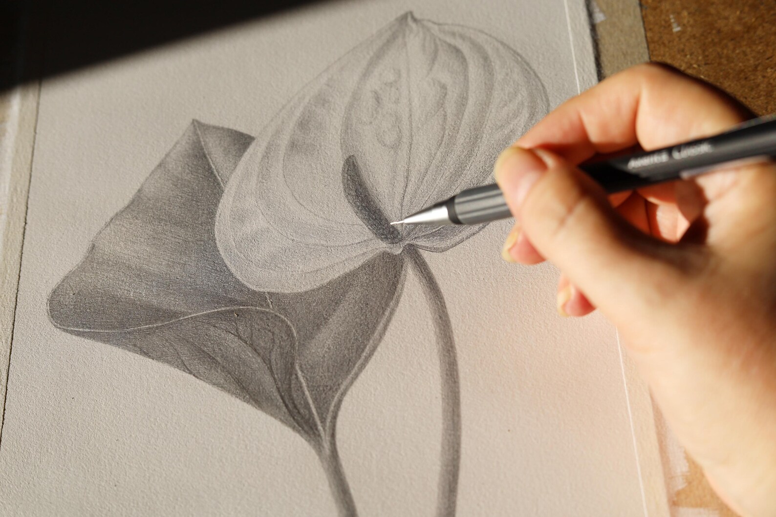 Original Silver Drawing of Anthurium Flower, Silverpoint Artwork ...