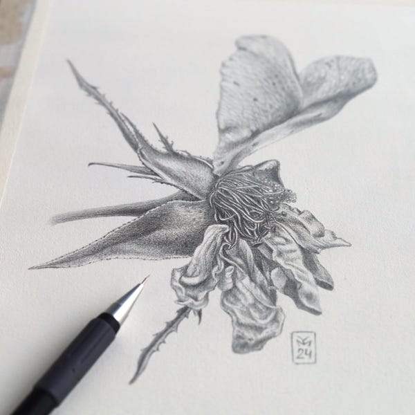 Silverpoint Drawing - Etsy UK