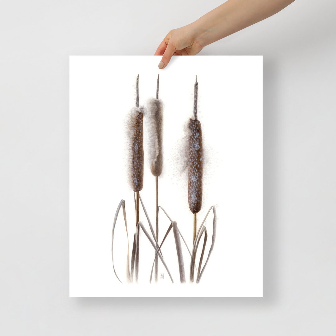 Reeds Print Watercolor Reeds Painting Earth Tone Wall Art - Etsy