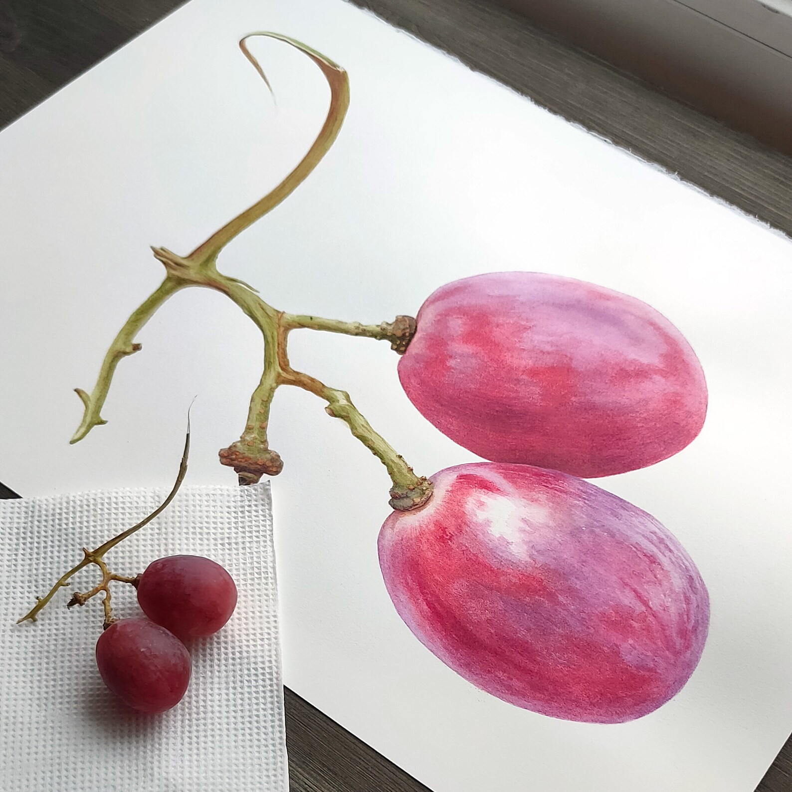 Fruit Poster, Grapes Print, Grapes Watercolor Painting, Botanical Art ...