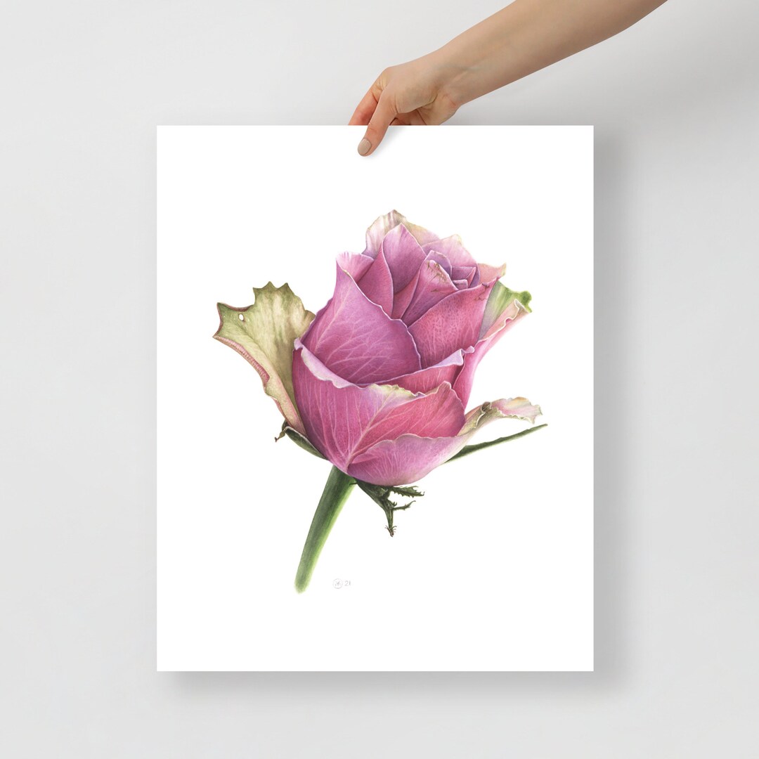 Pink Rose Print, Flower Painting, Rose Poster, Flower Wall Art, Pink ...
