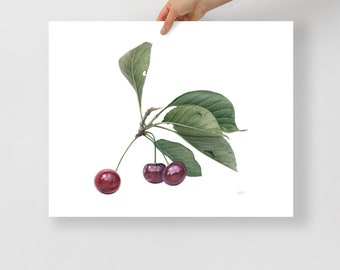 Wild Cherry Poster - Etsy
