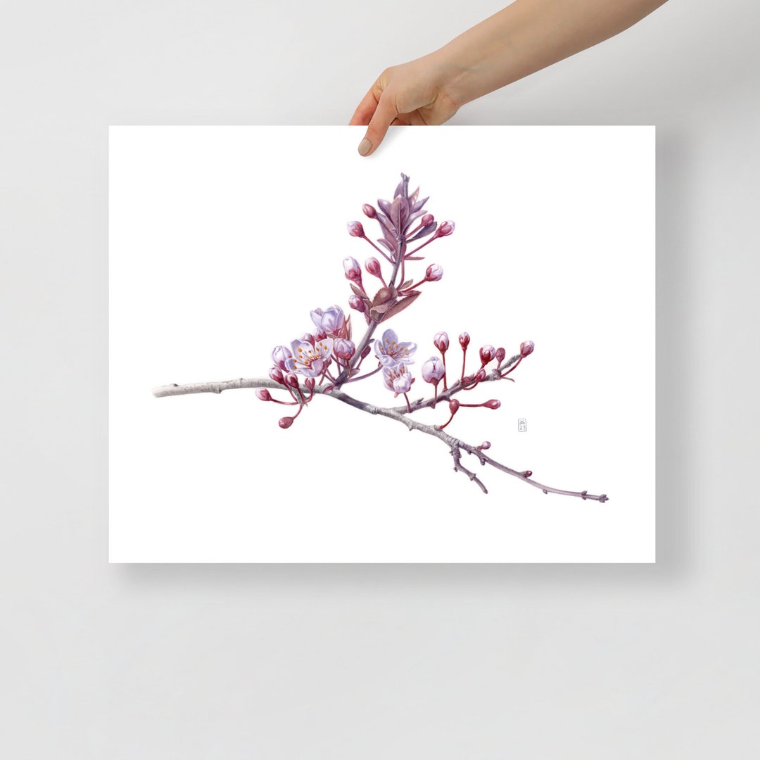 Sakura Print, Sakura Watercolor Painting, Sakura Art, Sakura Poster ...
